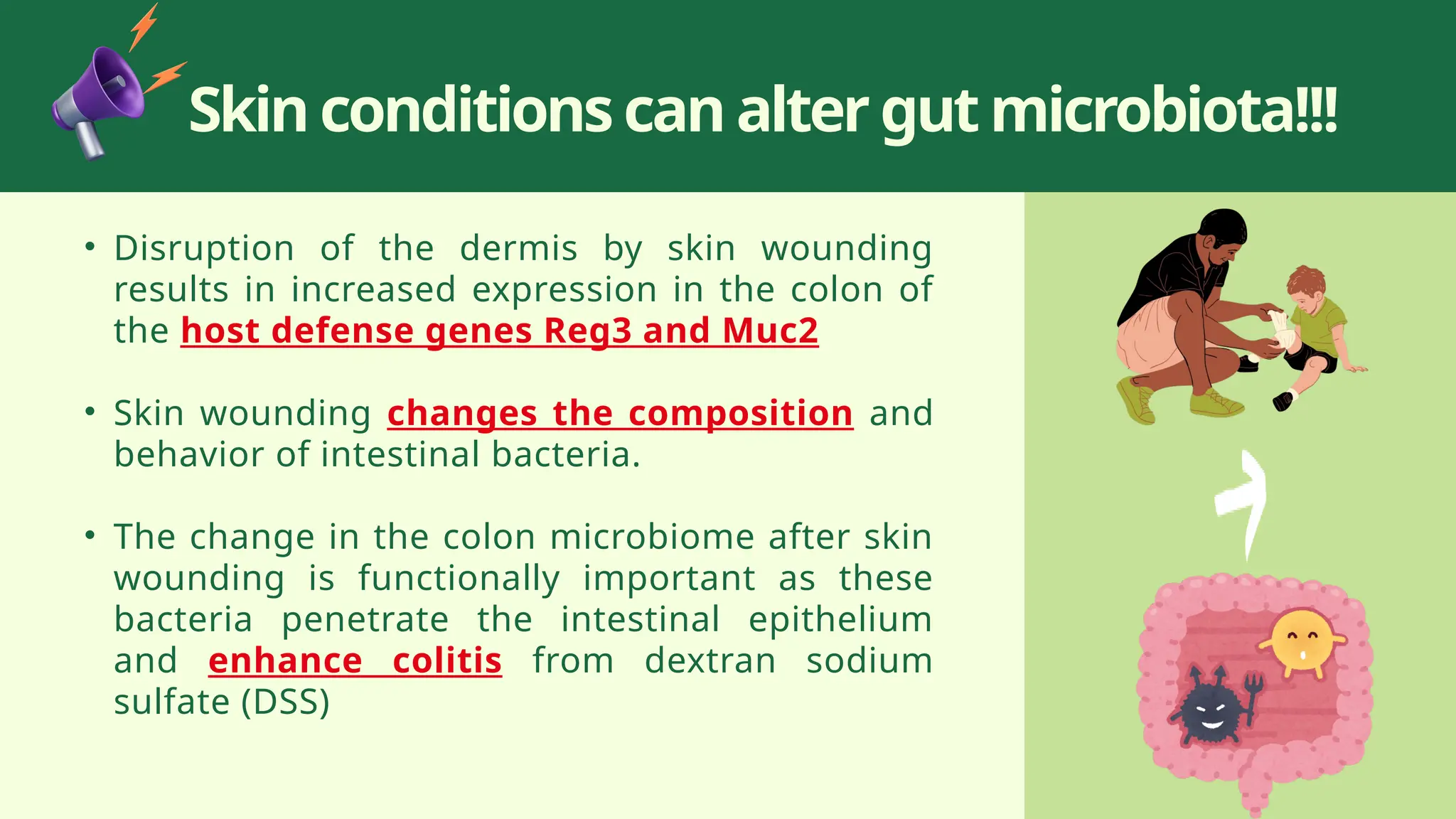 Gut skin axis (Relation between gut microbiome and skin health).pptx
