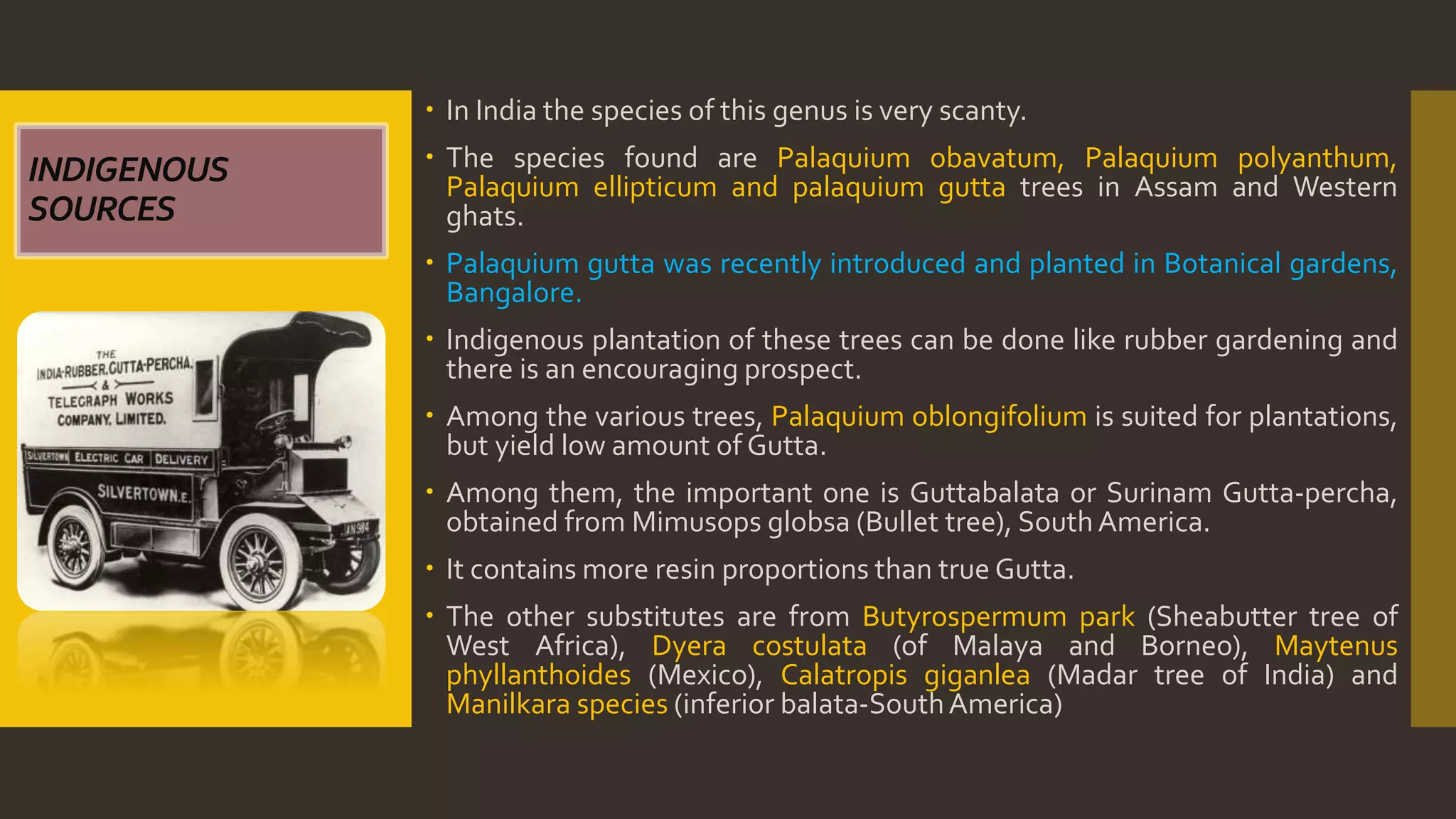 Gutta percha | PDF