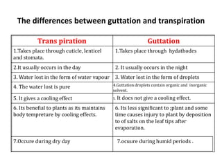 Guttatuion | PPTX | Gardening | Home & Garden