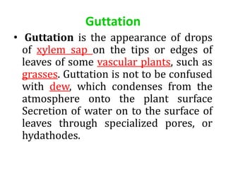 Guttatuion | PPTX