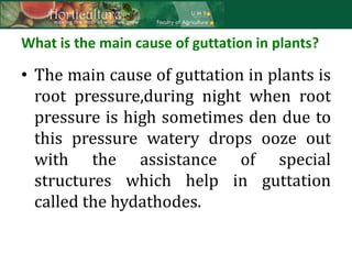 Guttatuion | PPTX