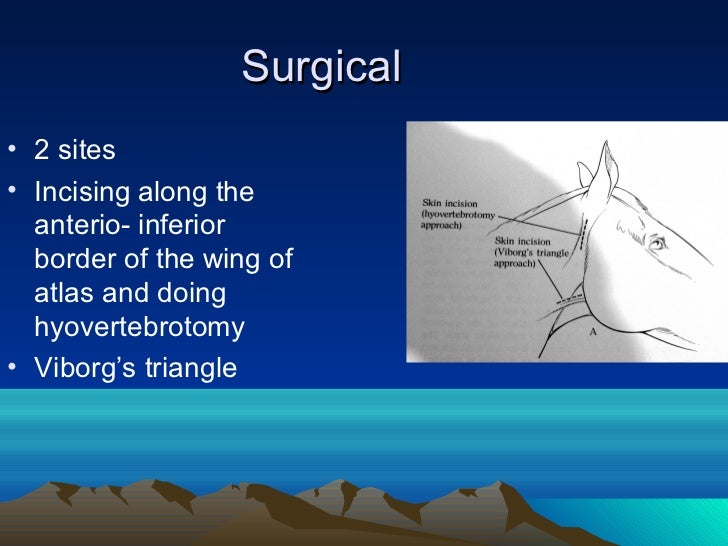 Gutteral pouches, By Dr. Rekha Pathak, senior scientist IVRI