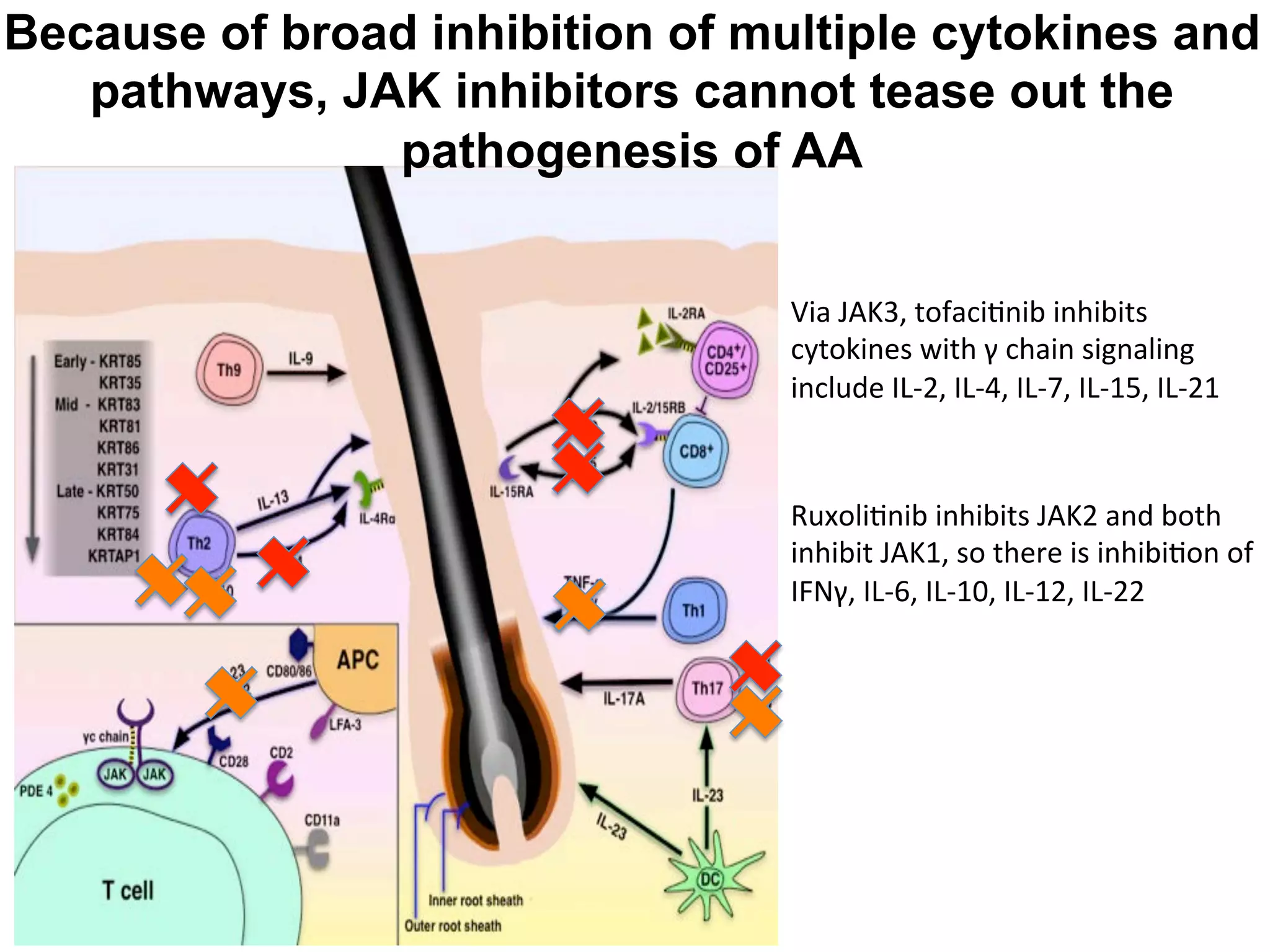 Cytokine Targeted Therapeutics: Lessons from Atopic Dermatitis and ...