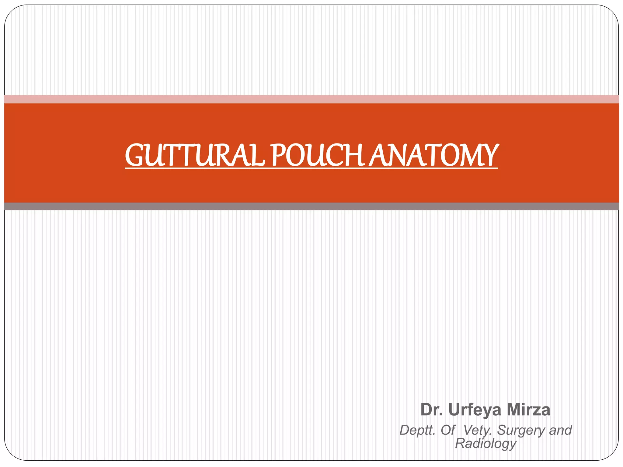 Guttural pouch anatomy | PPTX