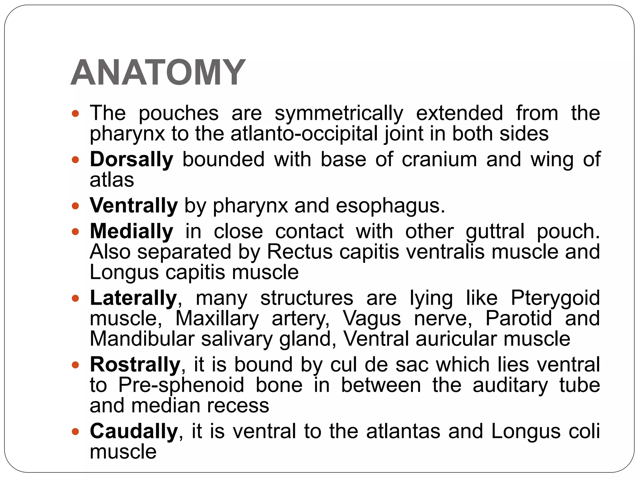 Guttural pouch anatomy | PPTX