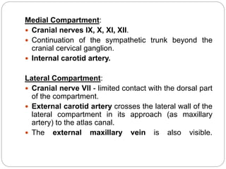 Guttural pouch anatomy | PPTX