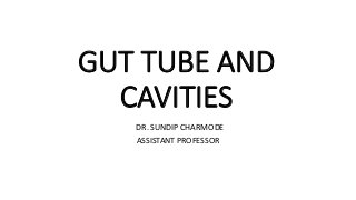 Gut tube and body cavities.pptx