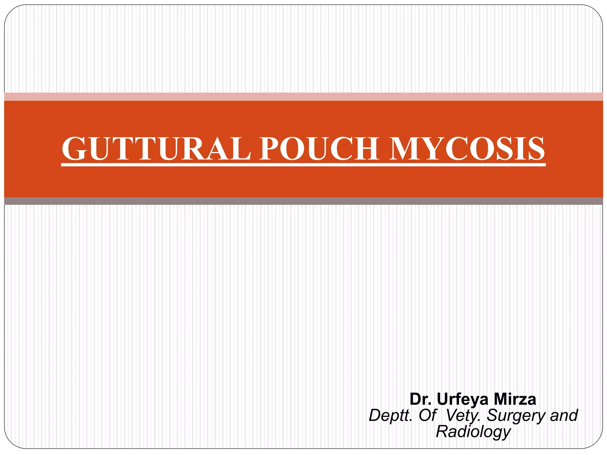 Guttural pouch mycosis | PPTX