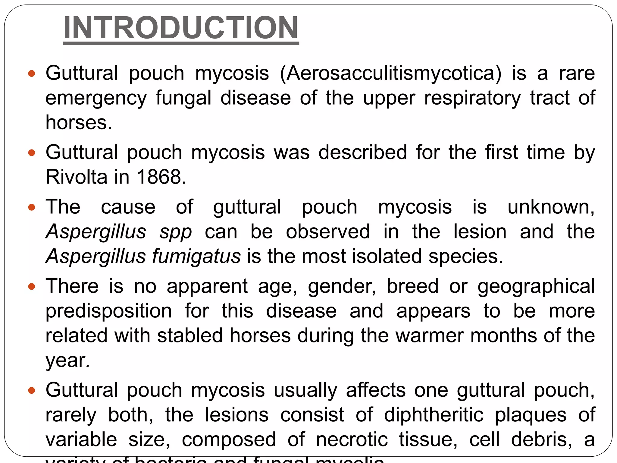Guttural pouch mycosis | PPTX