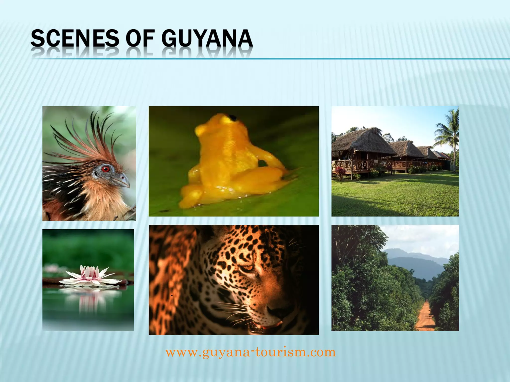 Guyana - a short description | PPS