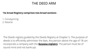 Guyana registry | PDF