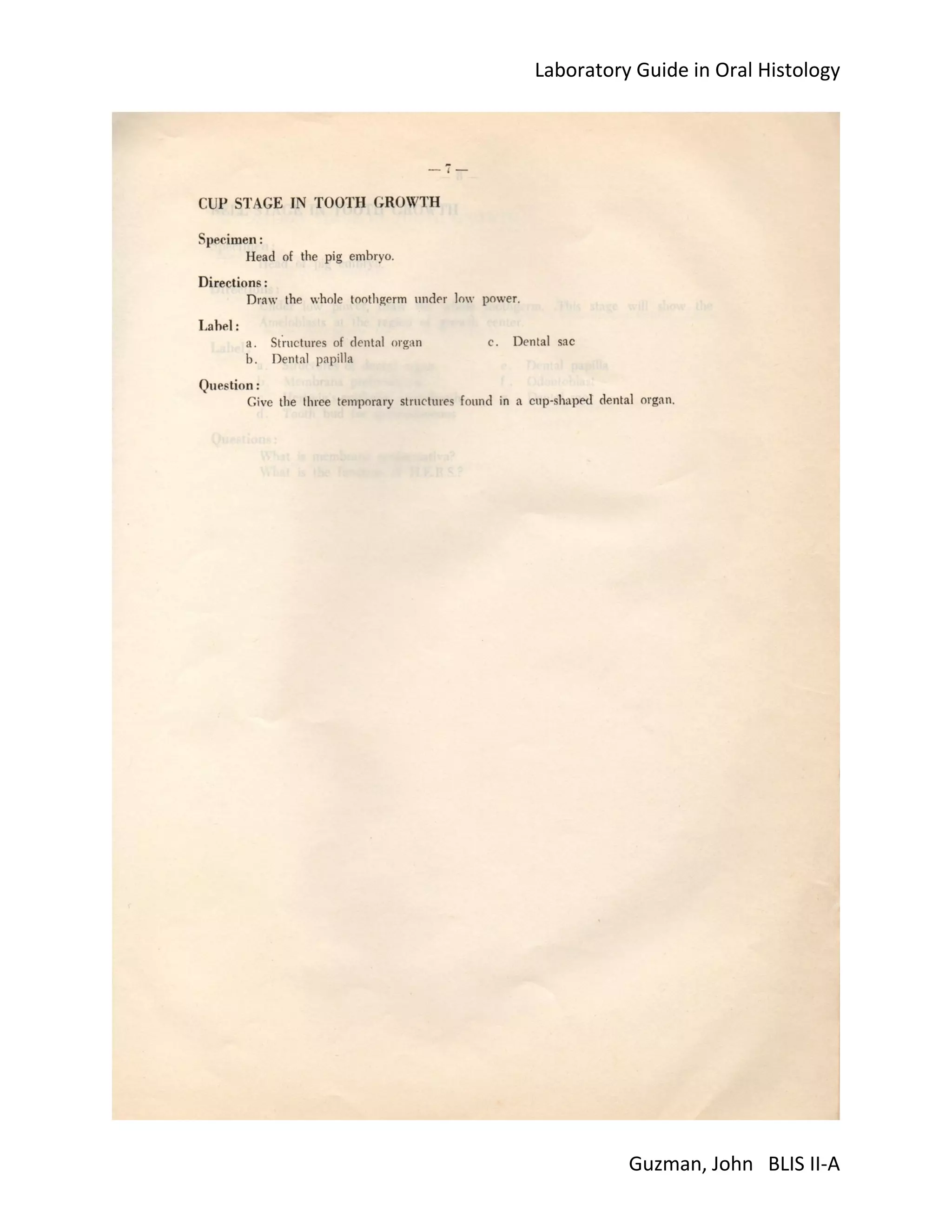 LABORATORY GUIDE IN ORAL HISTOLOGY | PDF