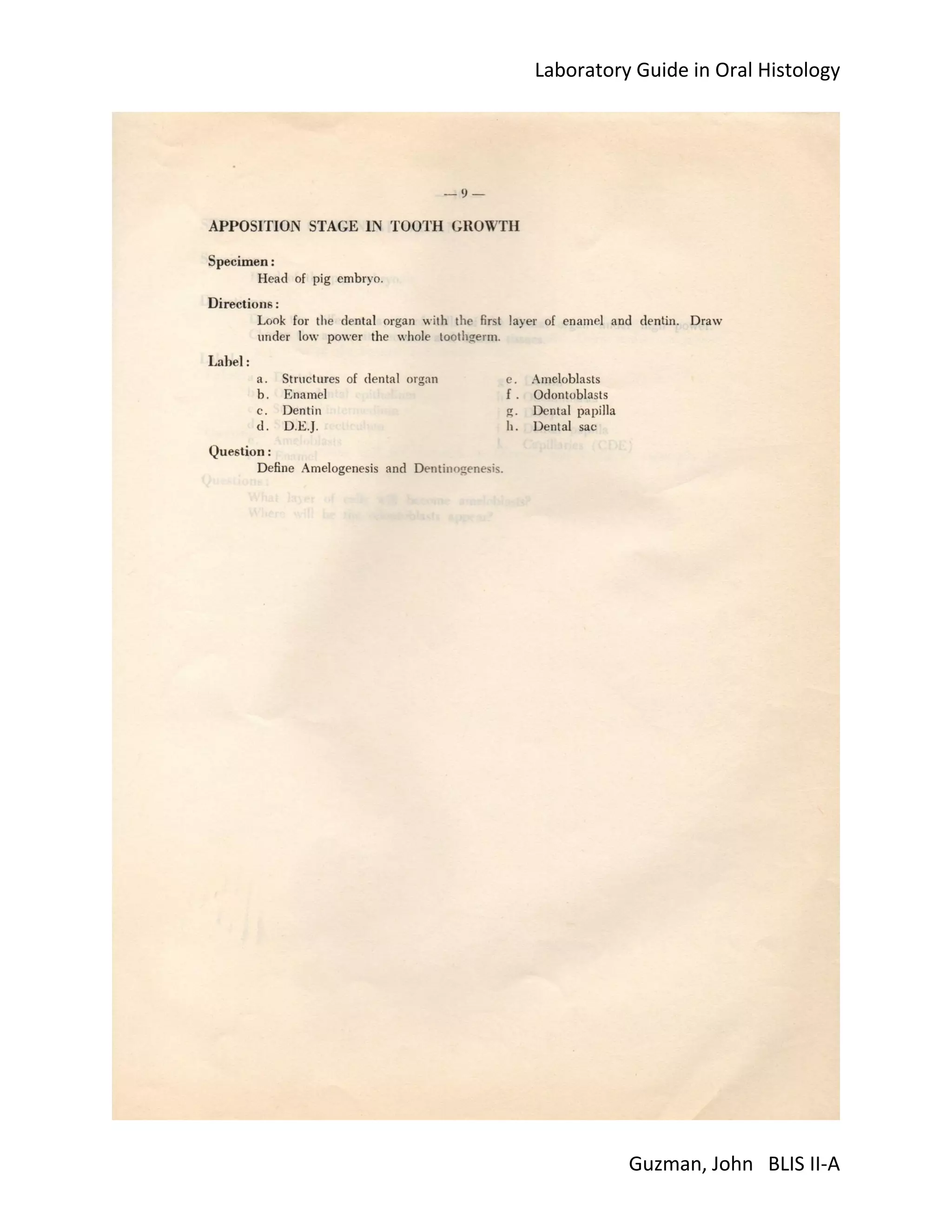 LABORATORY GUIDE IN ORAL HISTOLOGY | PDF