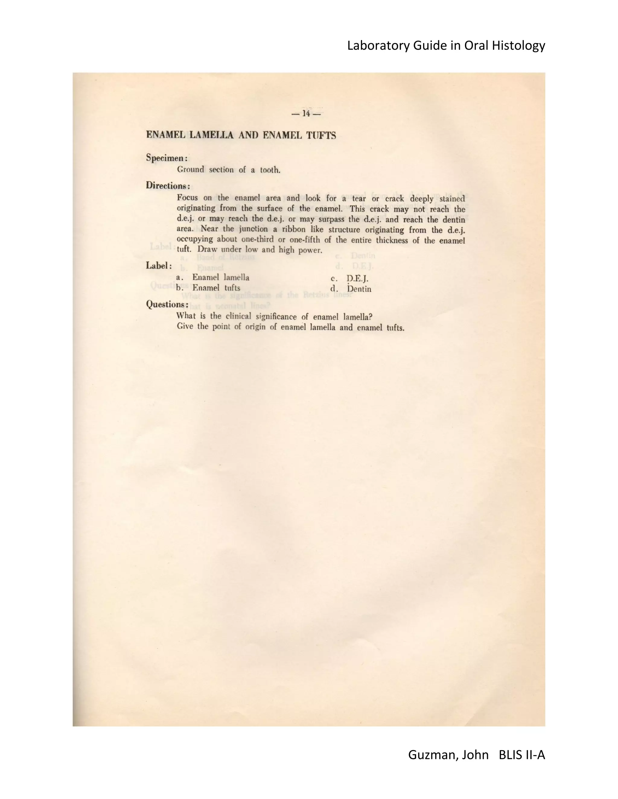 LABORATORY GUIDE IN ORAL HISTOLOGY | PDF