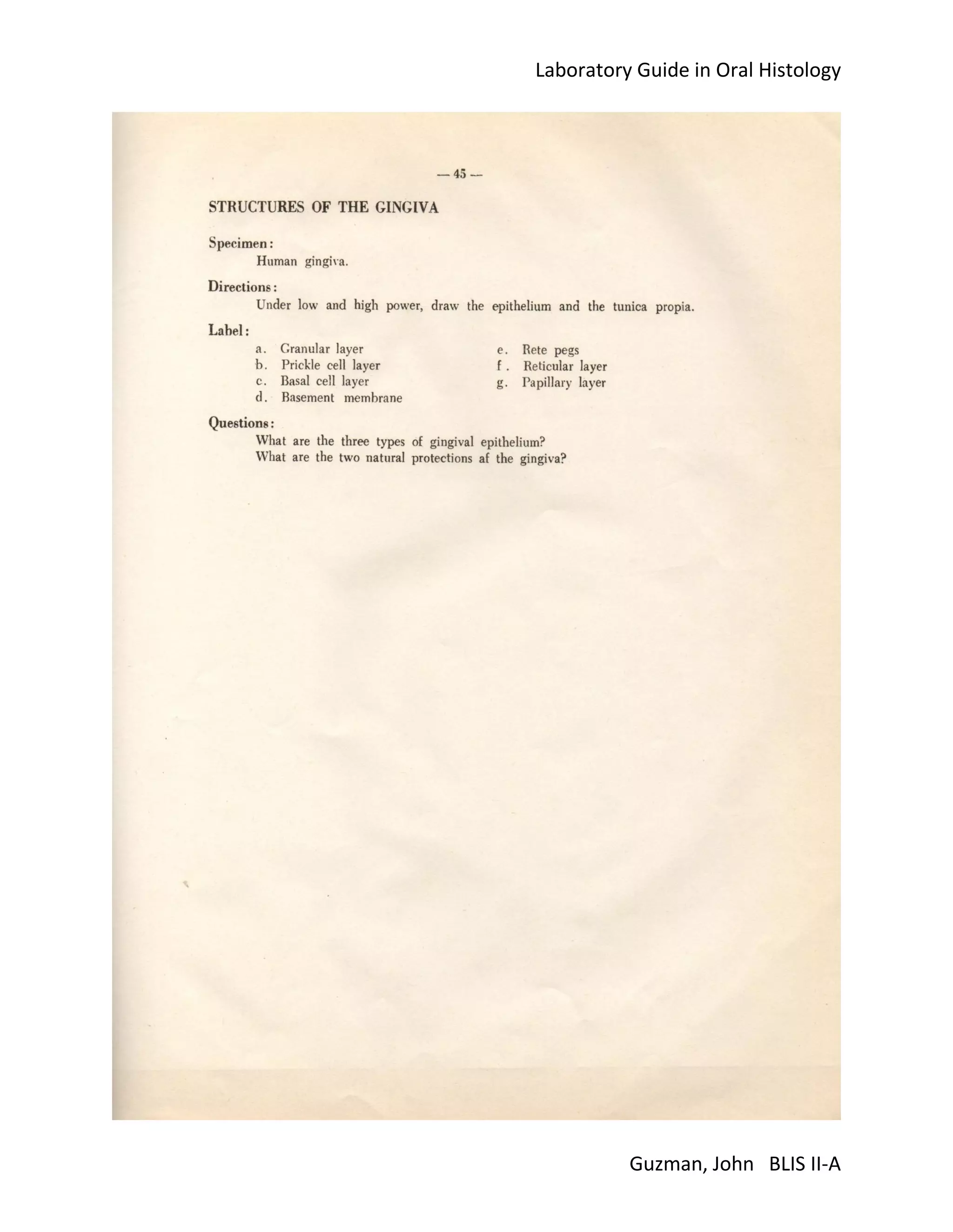 LABORATORY GUIDE IN ORAL HISTOLOGY | PDF