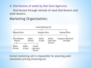 seed marketing | PPTX