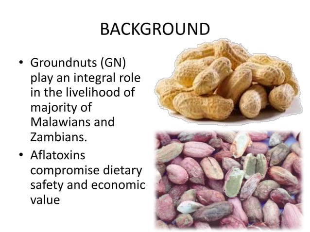 Stemming Aflatoxin pre- and post-harvest waste in the groundnut value ...