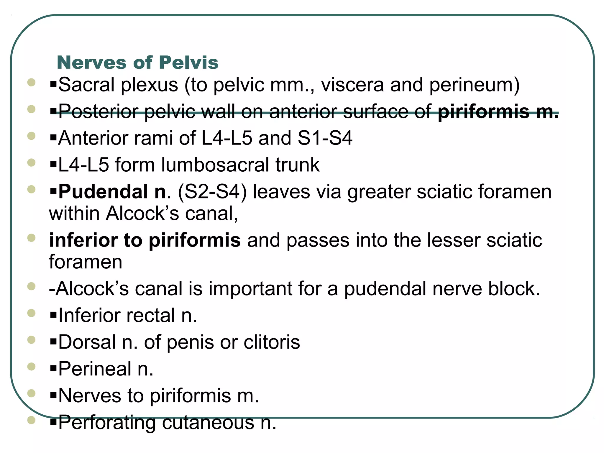 Anatomy of Pelvis & Perineum | PPT