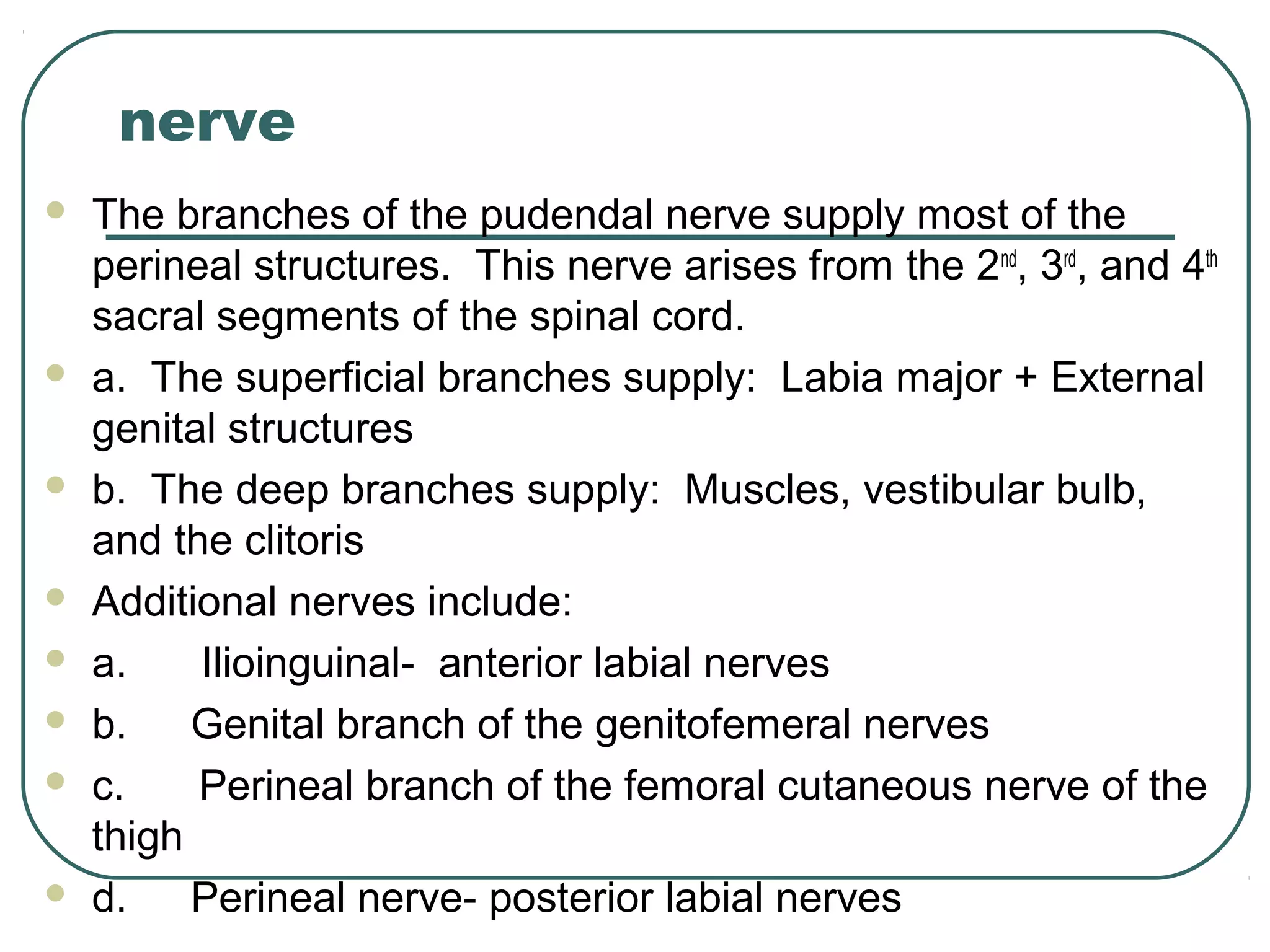 Anatomy of Pelvis & Perineum | PPT