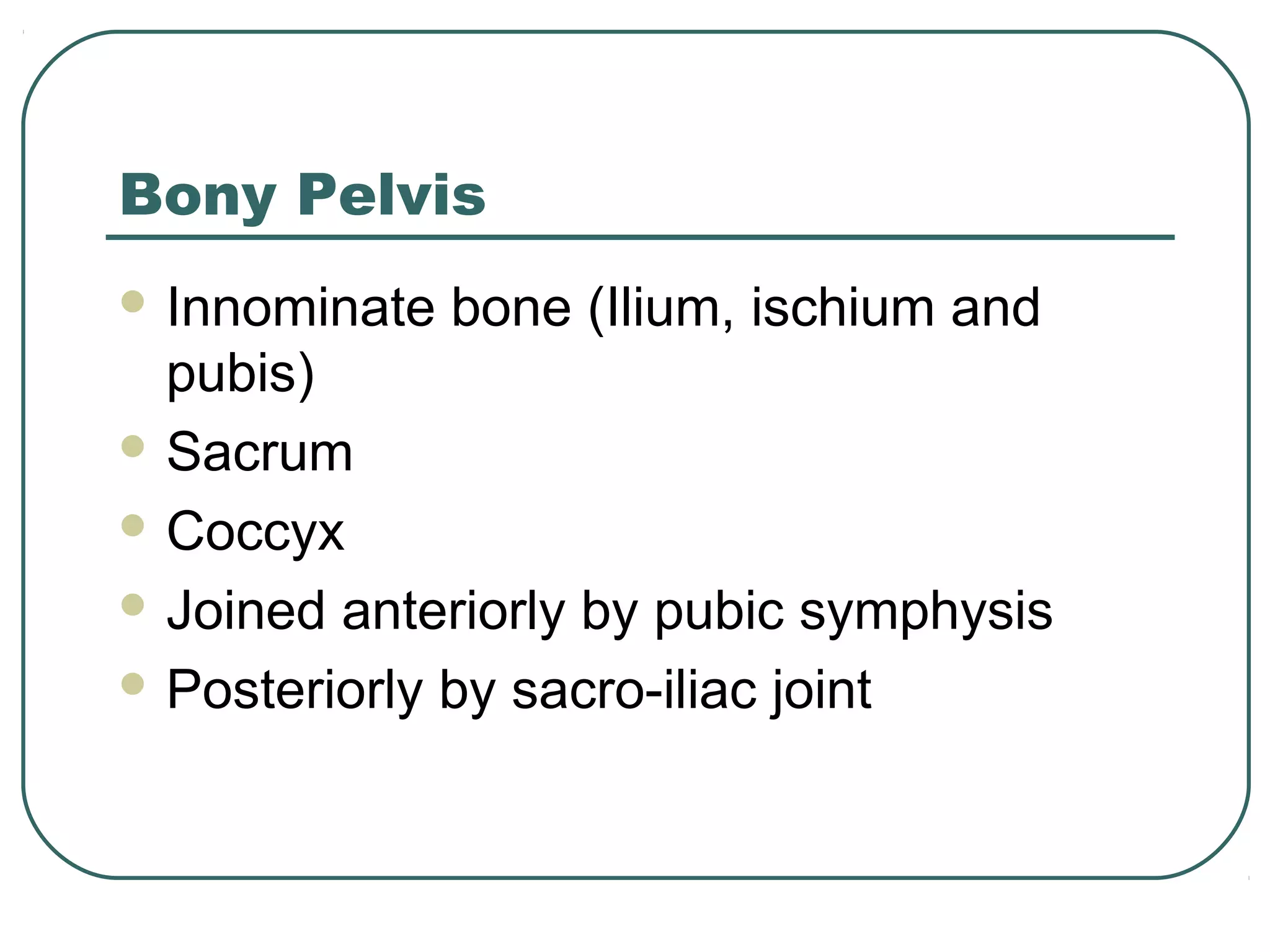 Anatomy of Pelvis & Perineum | PPT