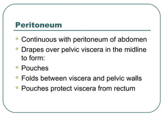 Anatomy of Pelvis & Perineum | PPT