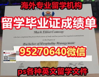 VIU成绩单 | PDF