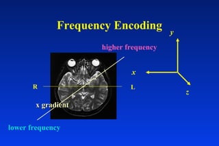 Spatial encoding part_2 | PPT
