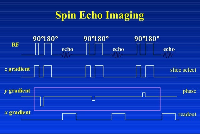 Spatial encoding part_2