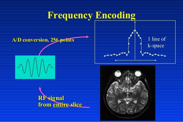 Spatial Encoding Part 2