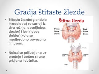 Štitasta zlezda | PPTX
