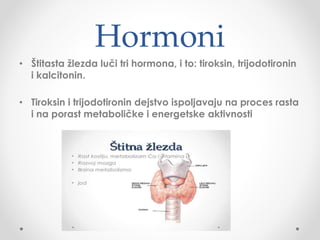 Štitasta zlezda | PPTX