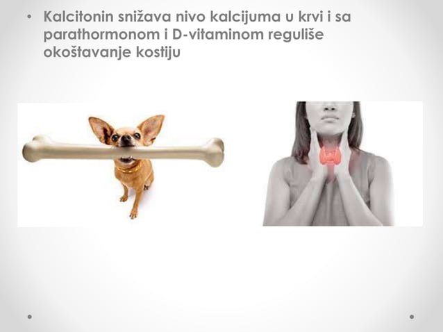 Štitasta zlezda | PPT