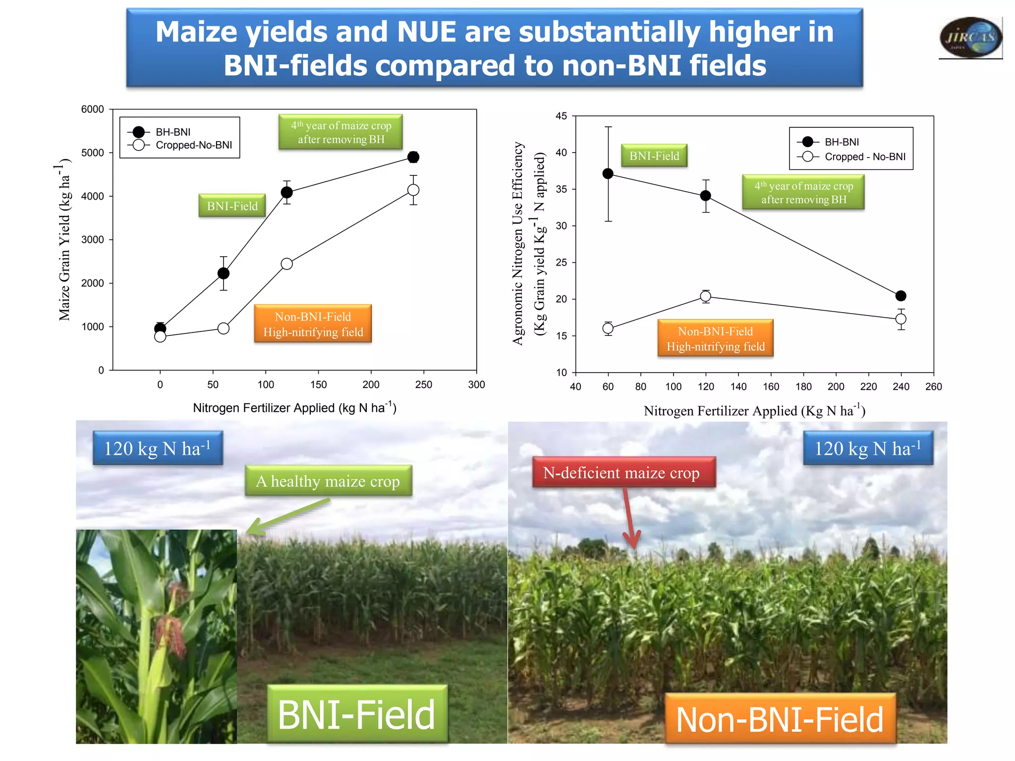 Biological nitrification inhibition (BNI) in plants: Implications for ...