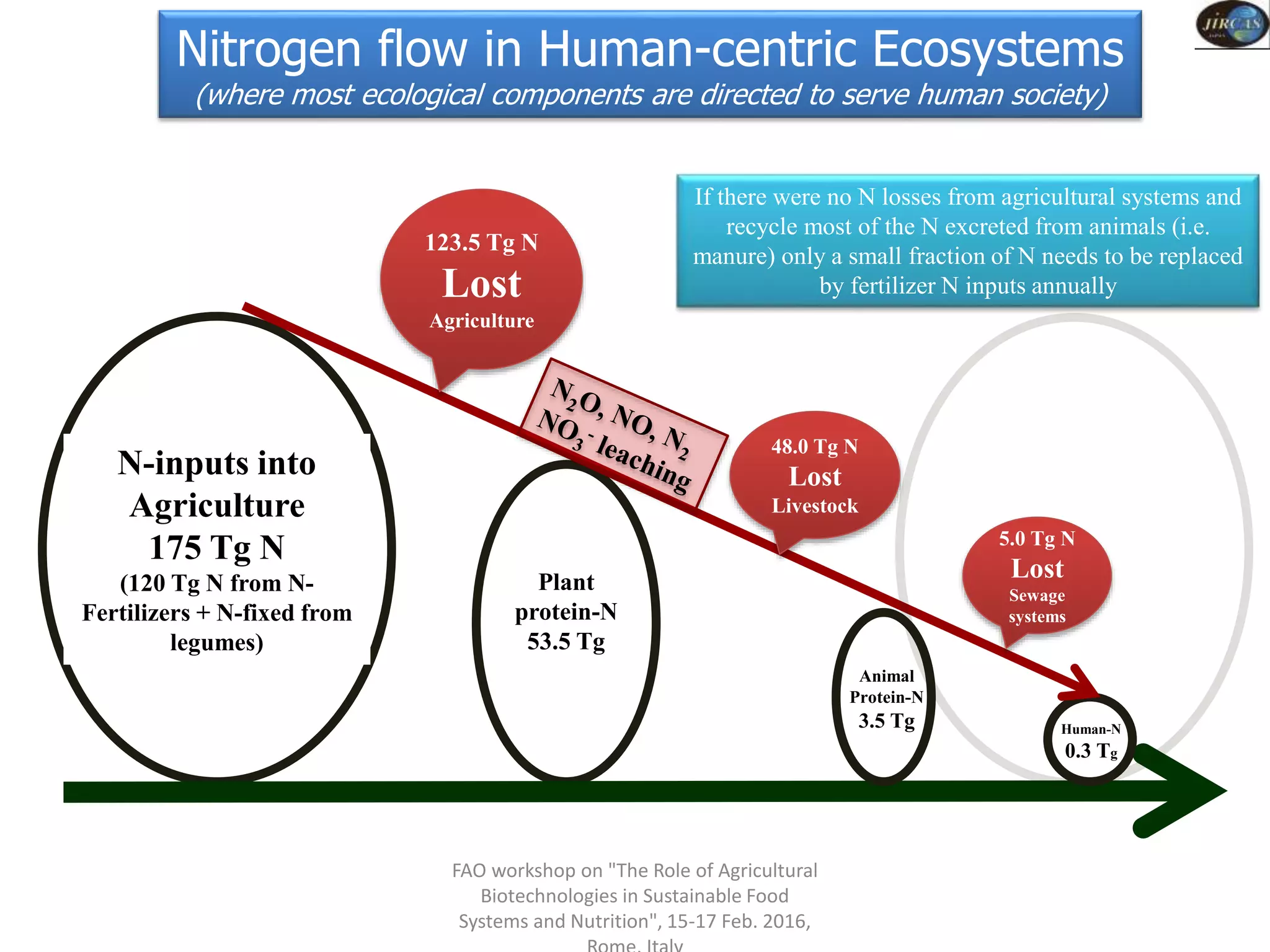 Biological nitrification inhibition (BNI) in plants: Implications for ...