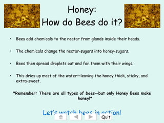 GVSU ED 205 Interactive Powerpoint Honeybees Final | PPT