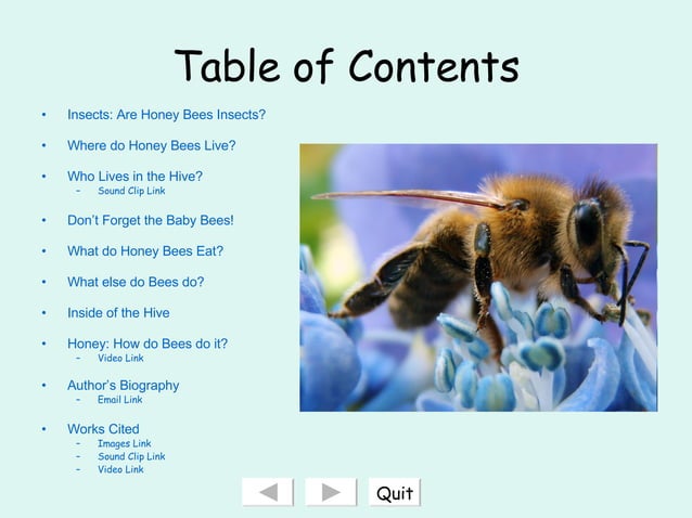 GVSU ED 205 Interactive Powerpoint Honeybees Final | PPT