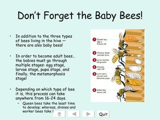 GVSU ED 205 Interactive Powerpoint Honeybees Final | PPT