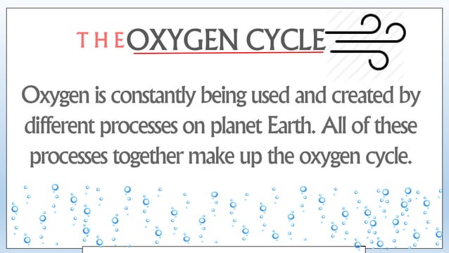 The BIOGEOCHEMICAL Cycle | PPT