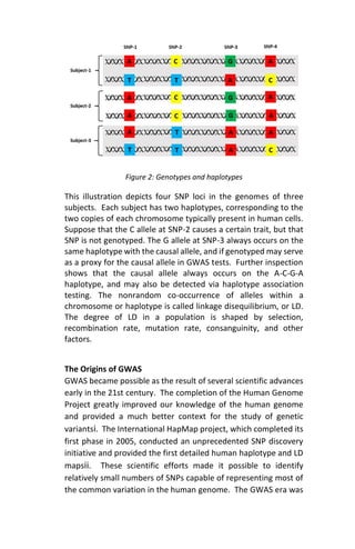 GWAS | PDF