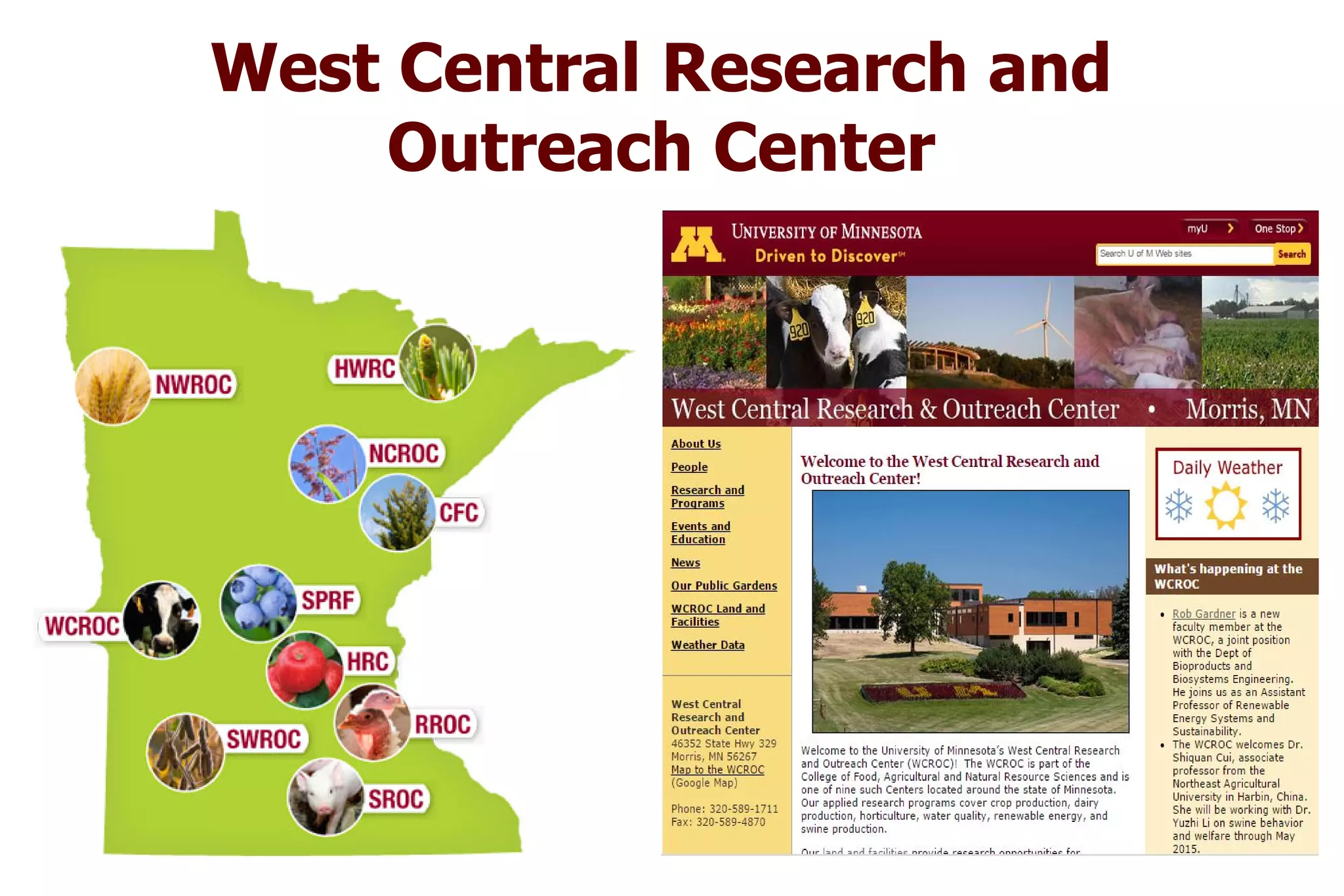 GWAS to Identify Genetics that Influence Calf Health from Holstein and ...