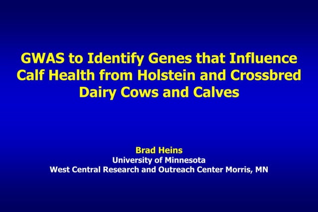 GWAS to Identify Genetics that Influence Calf Health from Holstein and ...