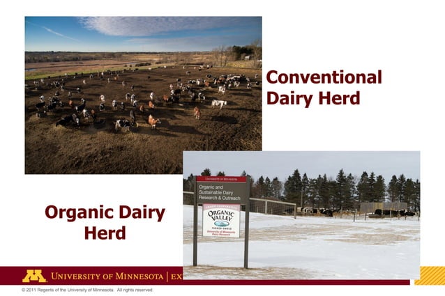 GWAS to Identify Genetics that Influence Calf Health from Holstein and ...