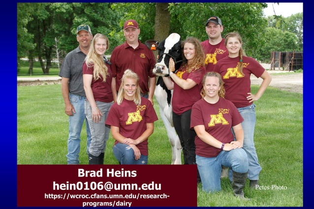 GWAS to Identify Genetics that Influence Calf Health from Holstein and ...