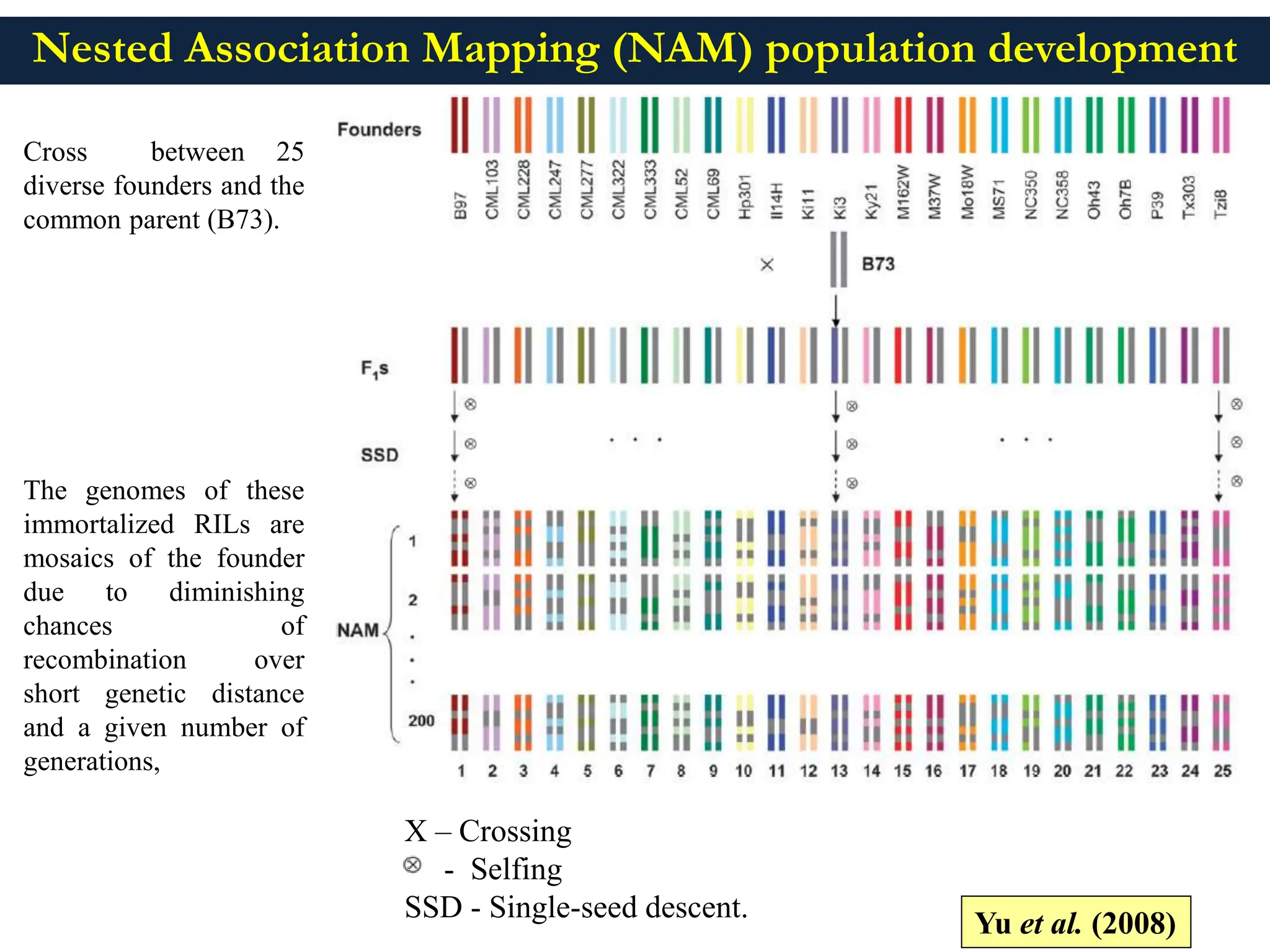 GWAS "GENOME WIDE ASSOCIATION STUDIES" A STEP AHEAD | PPTX
