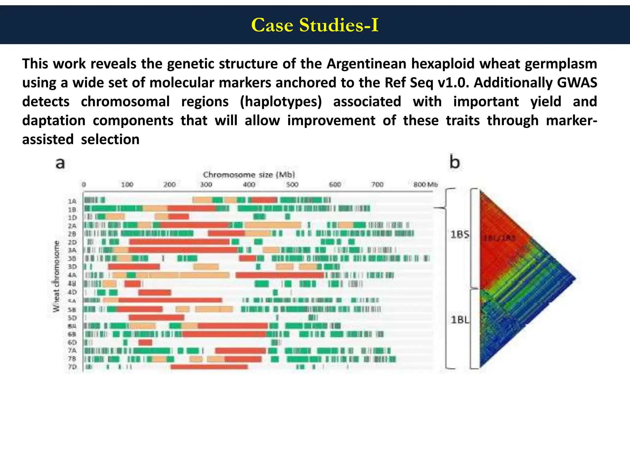 GWAS "GENOME WIDE ASSOCIATION STUDIES" A STEP AHEAD | PPTX