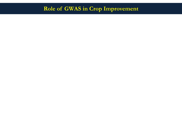 GWAS "GENOME WIDE ASSOCIATION STUDIES" A STEP AHEAD | PPTX | Genetics | Science