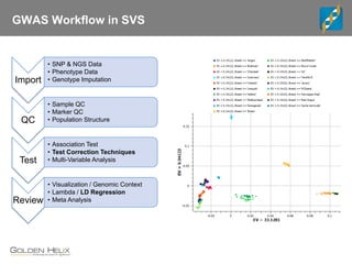 New Enhancements: GWAS Workflows with SVS | PDF