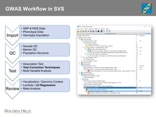 New Enhancements: GWAS Workflows with SVS | PDF