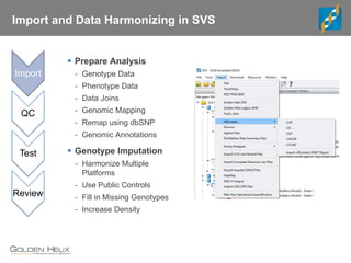 New Enhancements: GWAS Workflows with SVS | PDF