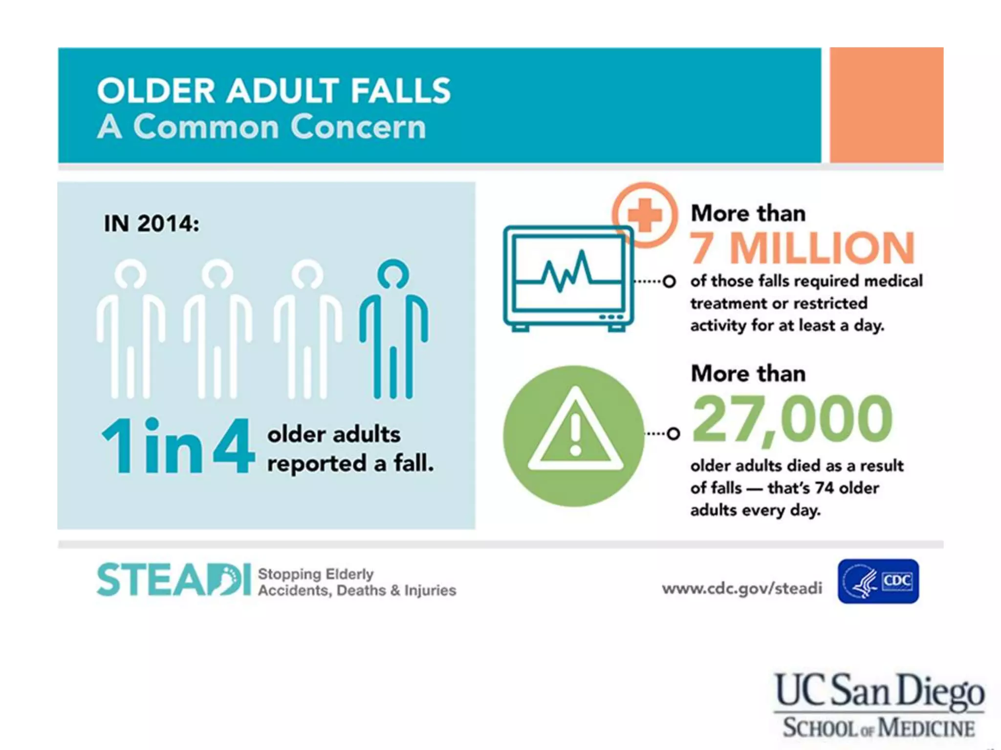 STEADI: Stopping Elderly Accidents, Deaths & Injuries | PPT